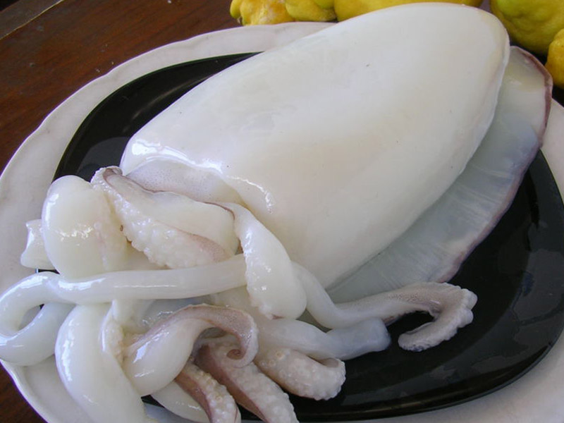 Seppia - Sepia officinalis | Alimentipedia.it