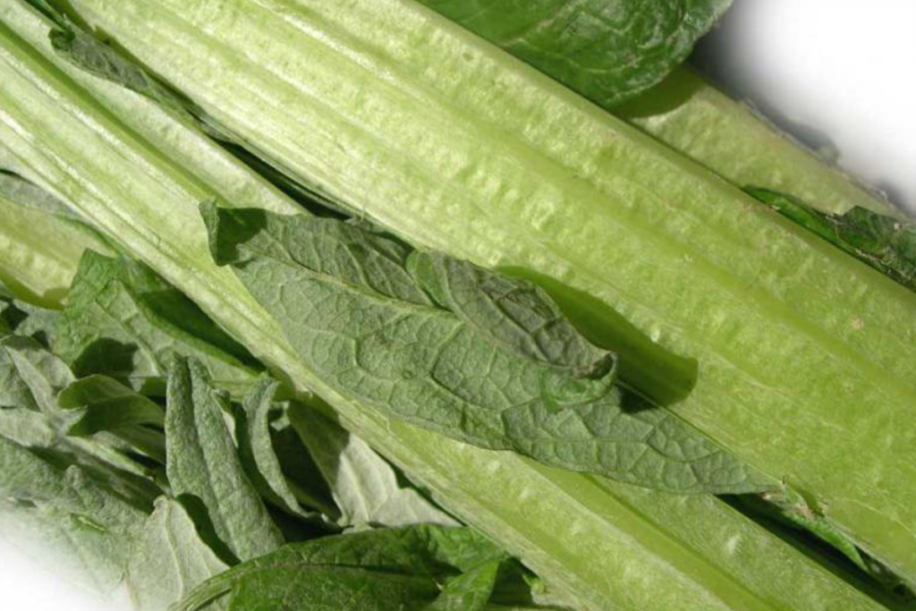 Cardo - Alimentipedia