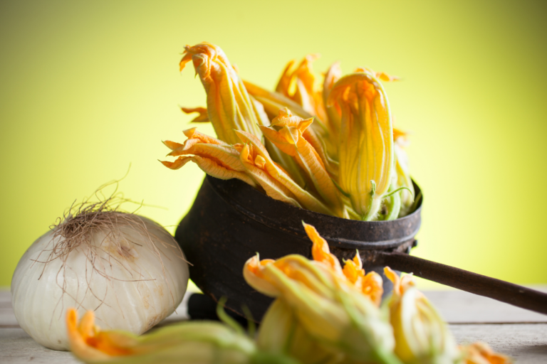 7 ricette con i fiori di zucca: idee semplici e gustose per portarli in ...